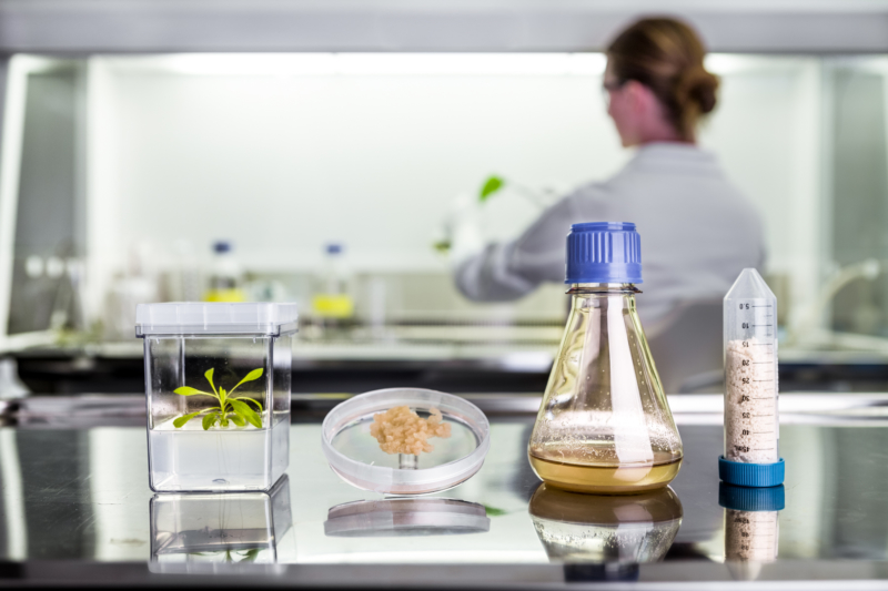 Contact - Phyton Biotech