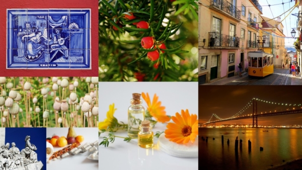 Phyton Biotech - World’s largest Producer of Paclitaxel and Docetaxel