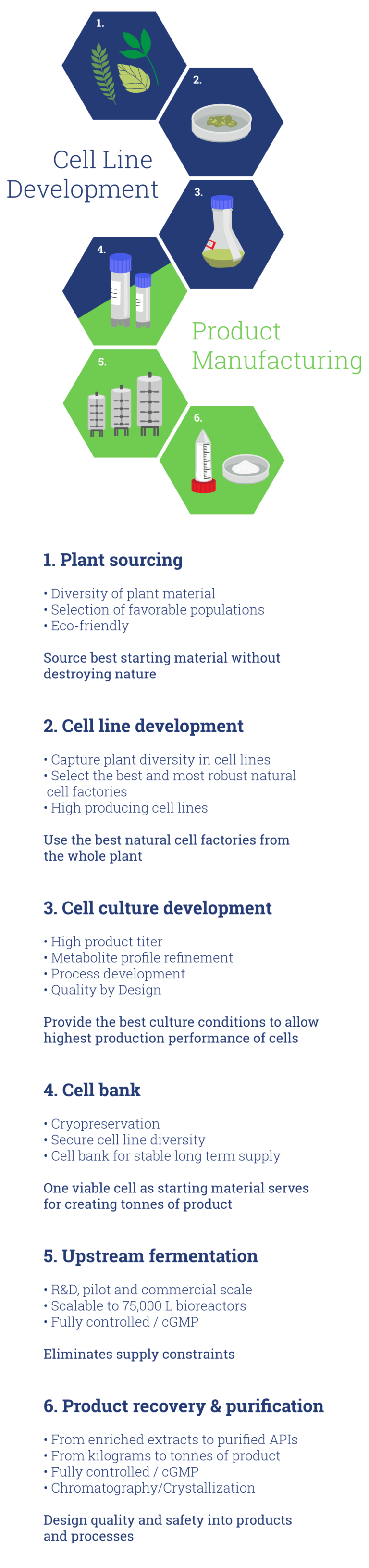 Infographic plant cell fermentation steps - mobile - Phyton Biotech